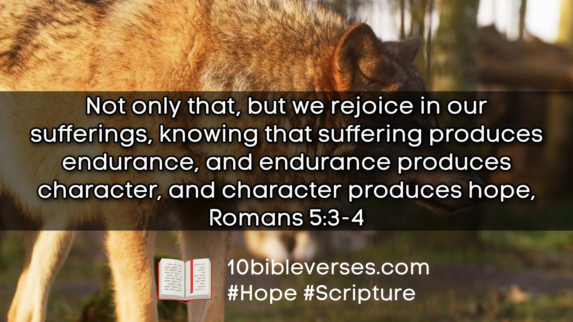 10 Bible Verses about Character